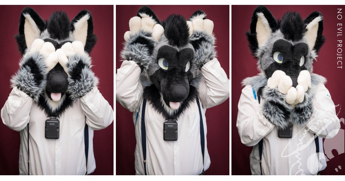 Neo Silver-Fox - Furry, Gamer, Disney Fan